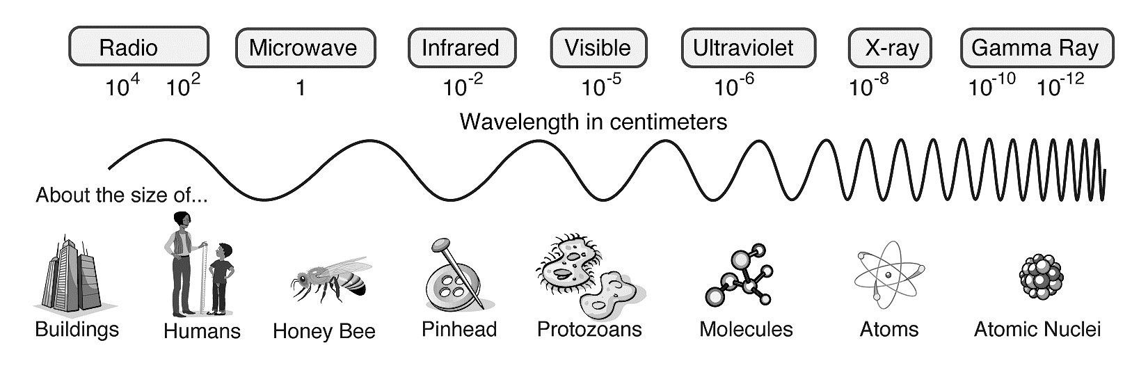 Electromagnetic Spectrum Middle School