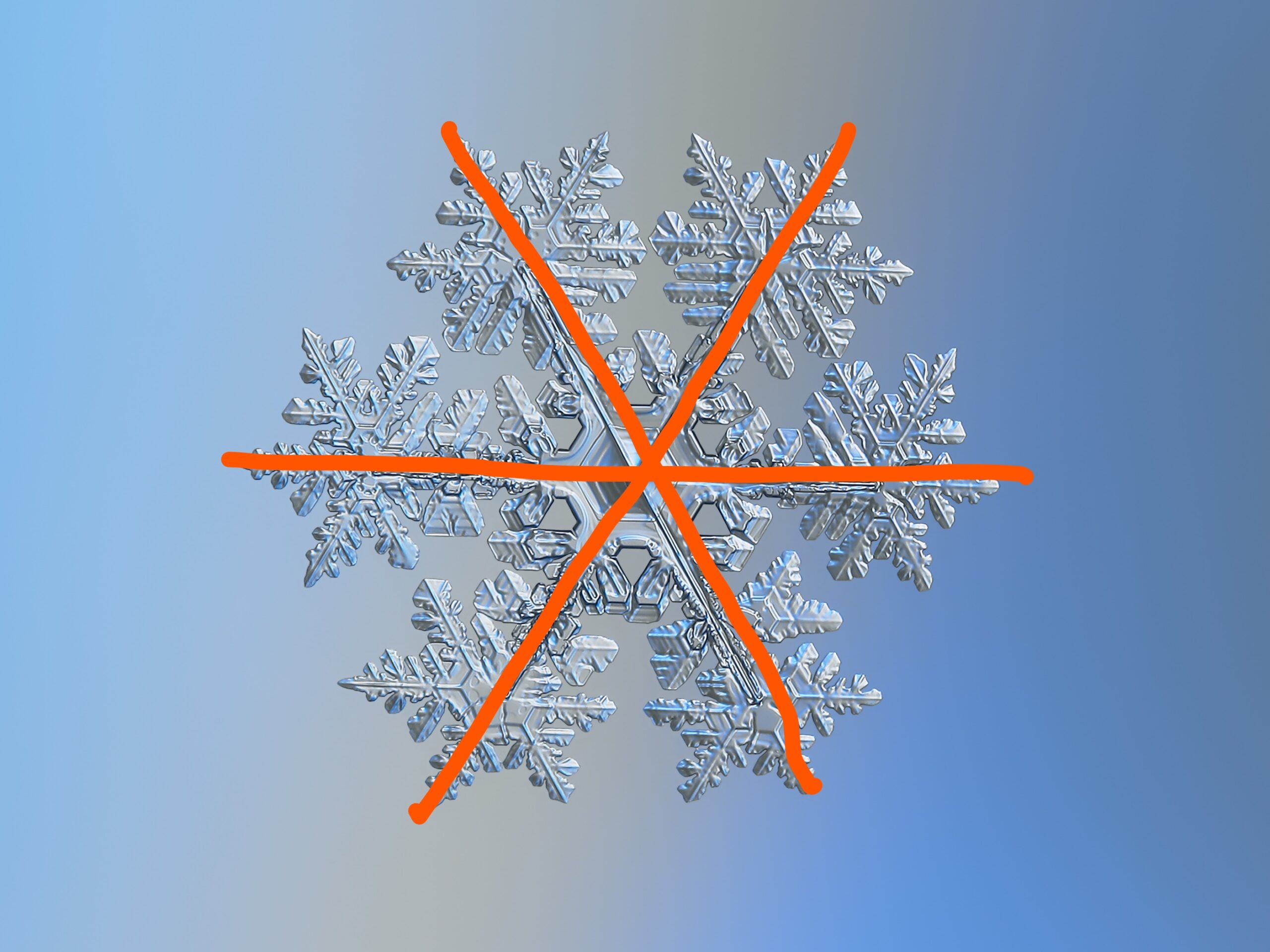 Radial Symmetry Snowflake