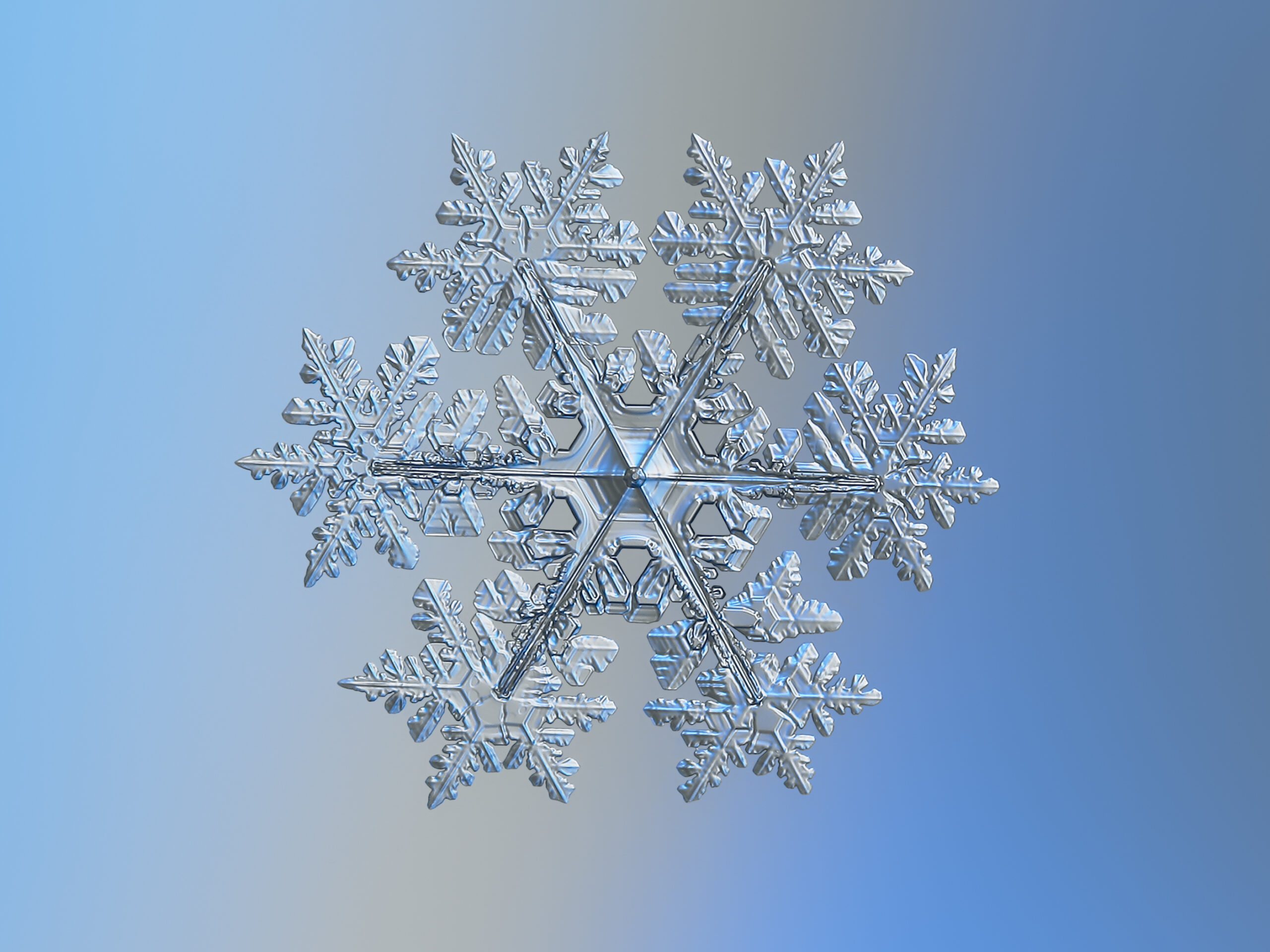 Radial Symmetry Snowflake