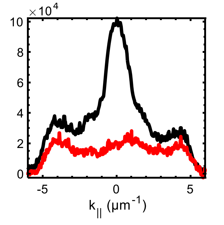 TRAPPING POLARITONS IN AN ENGINEERED QUANTUM BOX